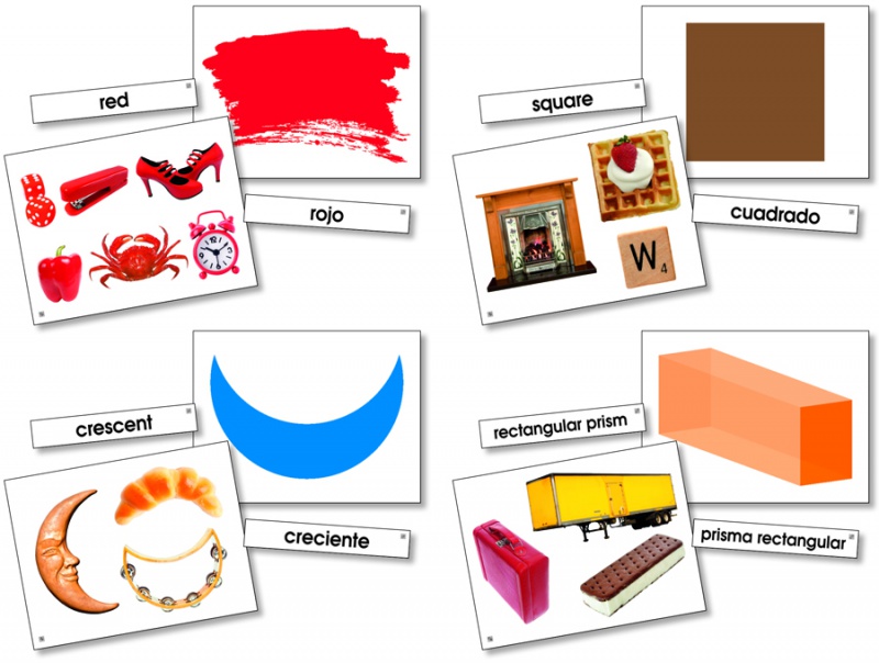 Colors & Shapes Language Cards