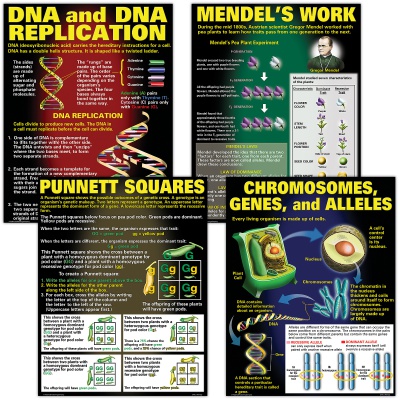 DNA & Heredity Poster Set | Middle & High School Biology