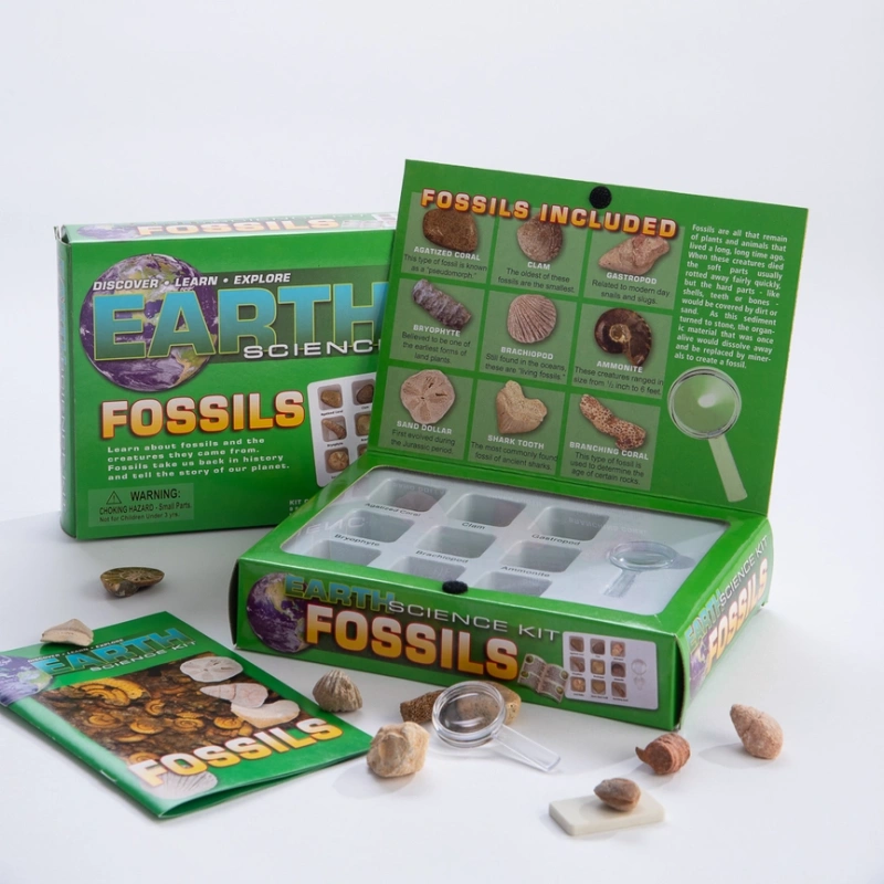 Fossils Earth Science Kit – GeoCentral Grades 8+