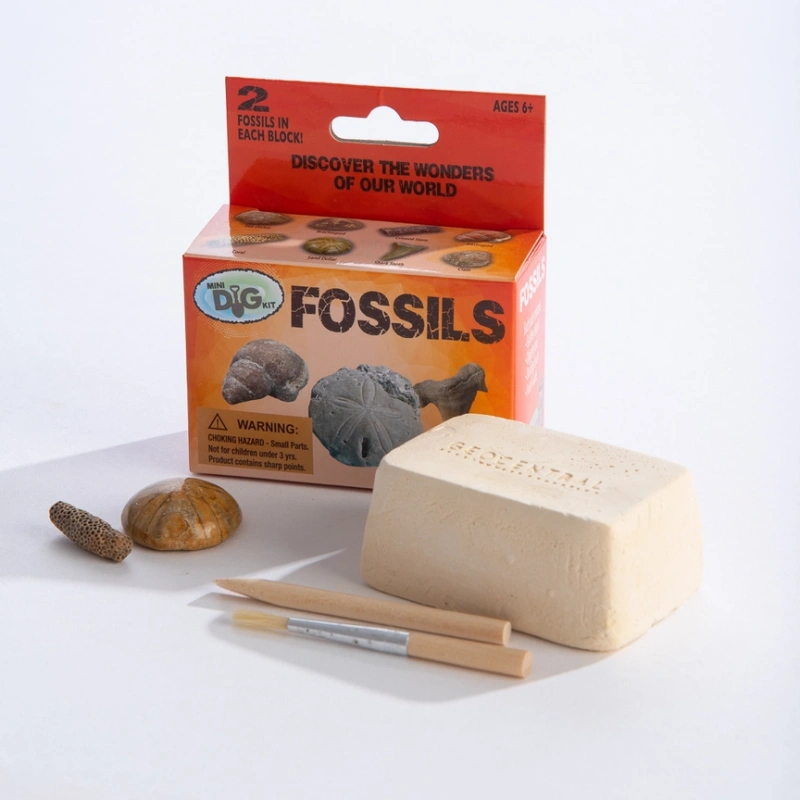 Fossil Excavation Kit for Hands-On Earth Science | Ages 6+