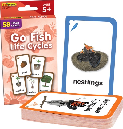 Life Cycles Resources | Classroom Science Tools