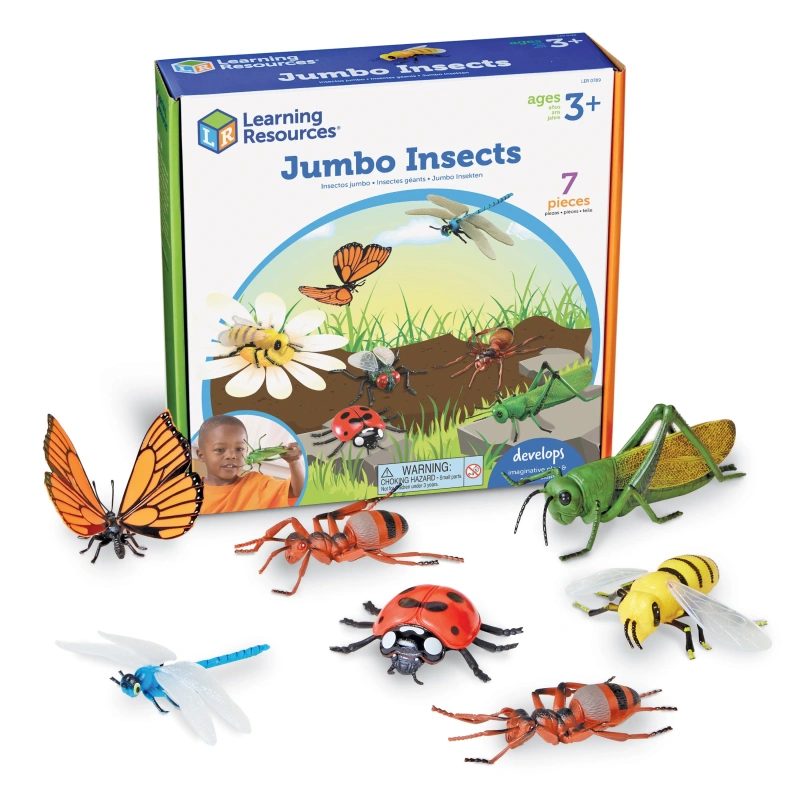 Jumbo Insects – Learning Resources | Grades A3–A7