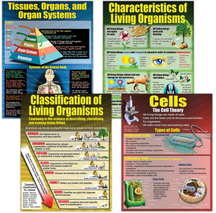 Living Organisms Science Poster Set | Elementary Life Science