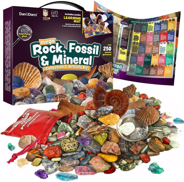 Mega Rock, Fossil & Mineral Collection – Dan & Darci