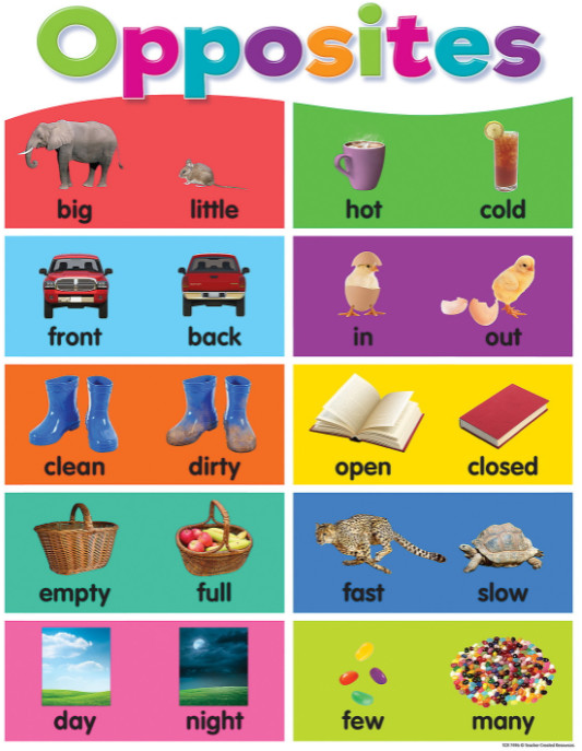 Opposites Chart for Vocabulary Building | All Grades