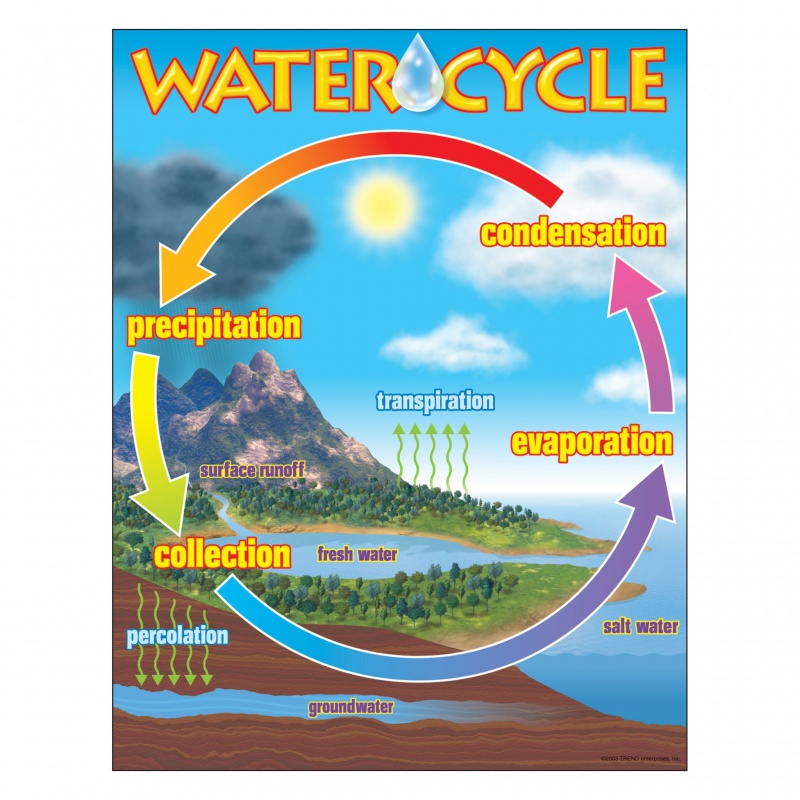 The Water Cycle Chart