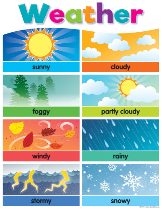 Weather Chart for Daily Tracking | Classroom Science