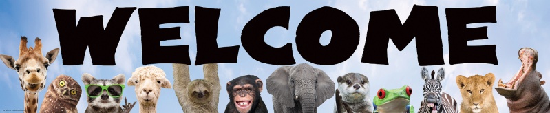 Welcome Banner Go Wild Animals